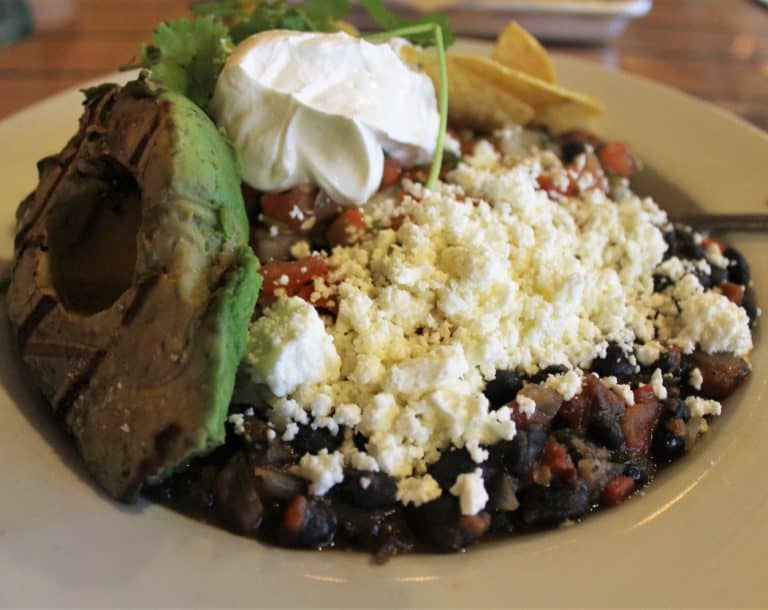 Lost Roo in Long Beach, Washington - The Yums