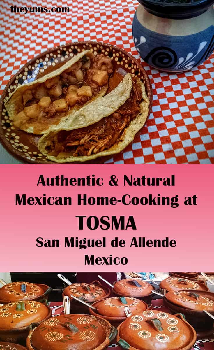 Authentic Mexican at TOSMA Organic Market, San Miguel de Allende - The Yums
